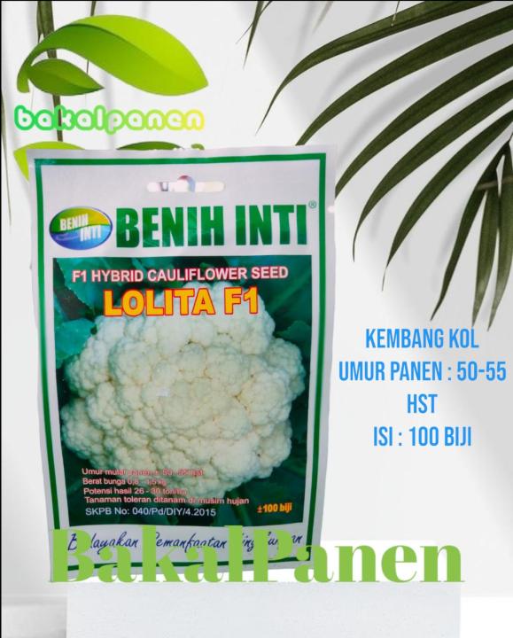 Benih bibit bungakol kembang kol cauliflower Benih Inti LOLITA isi ...