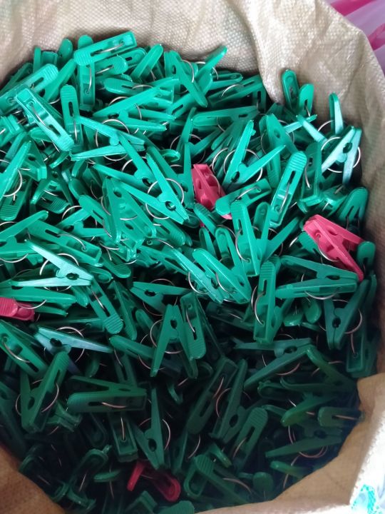 COD 1/4KG 1/2KG 1KG (ESTIMATE) 50-200pcs Clothes Plastic Clip Pins ...
