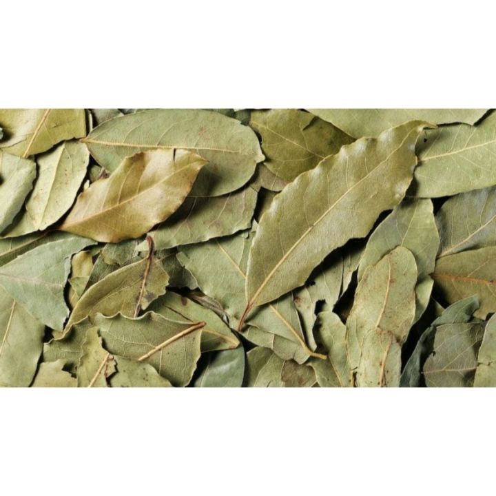 Dried Bay Leaves | Daun Salam Kering 5gram | Lazada