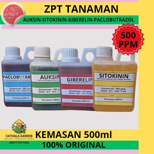ZPT HORMON TANAMAN 500 PPM KEMASAN 500 ML | AUKSIN SITOKININ GIBERELIN ...