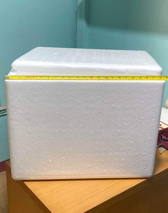 Styro Box / Big / Size : 22” x 15” x 17” | Lazada PH