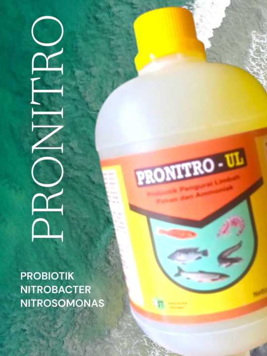 Probiotik Udang Budidaya Vaname Windu PRONITRO UL 1 Liter | Lazada ...