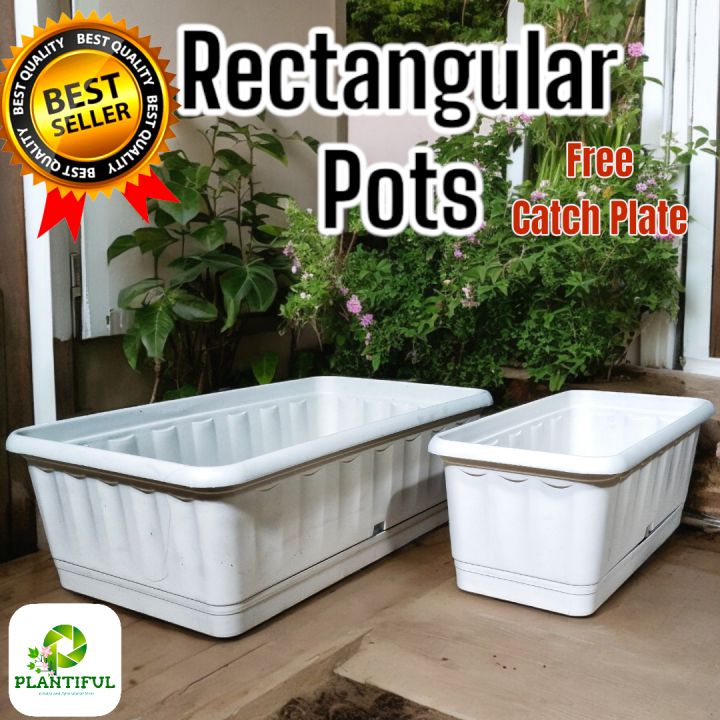 Rectangular Pots with Catch Plate! Great for your plants and Veggies ...