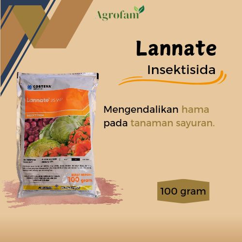 lannate insektisida 100 gram | Lazada Indonesia