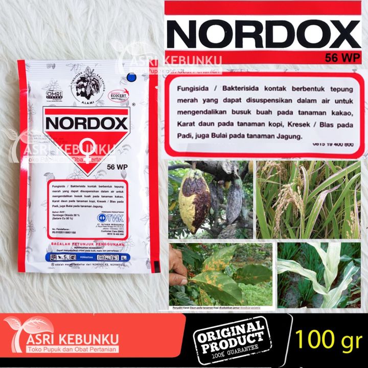 NORDOX 56WP 100gram Fungisida Bakterisida Alami Tembaga oksida | Lazada ...