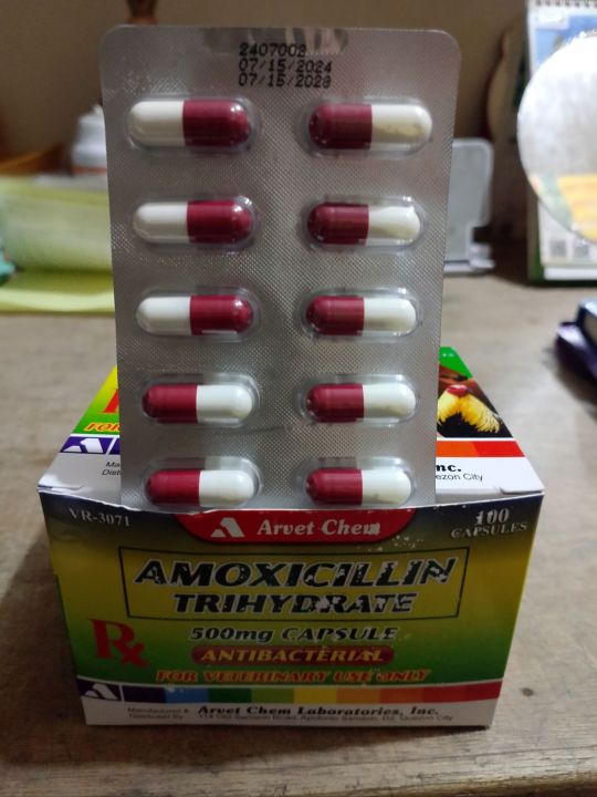 Amox 500th sold per ten tablet antibacterial for veterinary product ...
