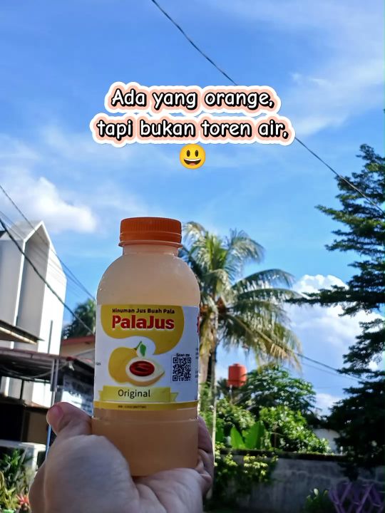 PalaJus 250 ml Minuman Jus Buah Pala | Lazada Indonesia