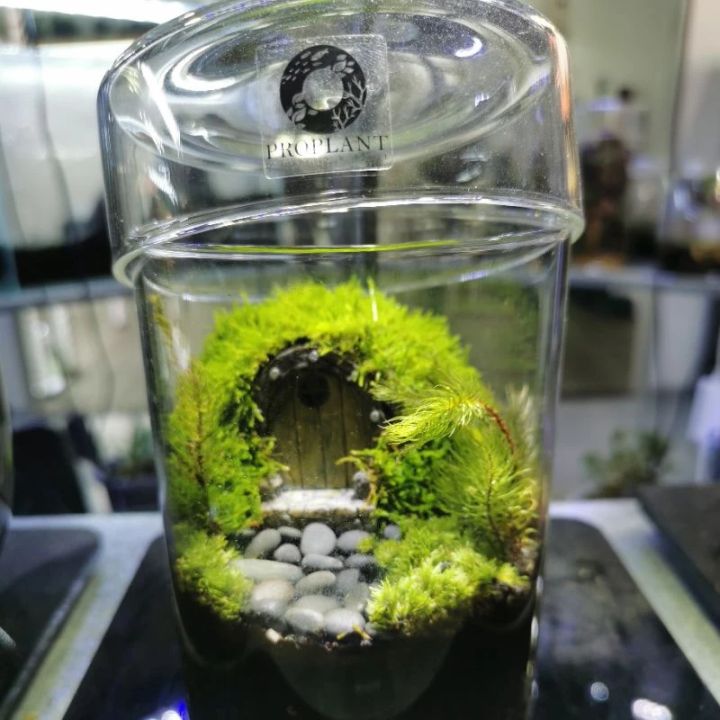 🔥Figurine🔥 Hobbit Door🔥 - Terrarium / Paludarium / Vivarium | Lazada