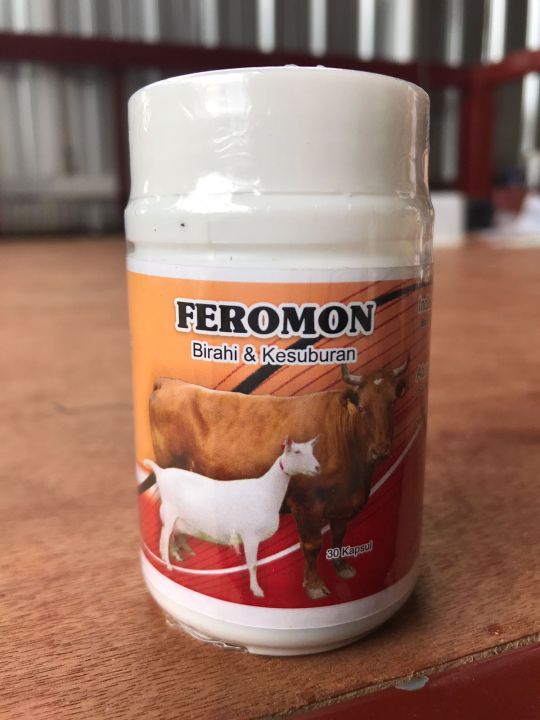 Feromon Obat Birahi & Kesuburan Sapi Kerbau Kambing Domba 40 Kapsul ...