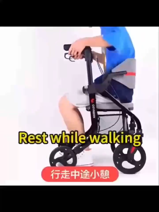 German Elderly Walker rollator walker walker for adult walker for adult ...