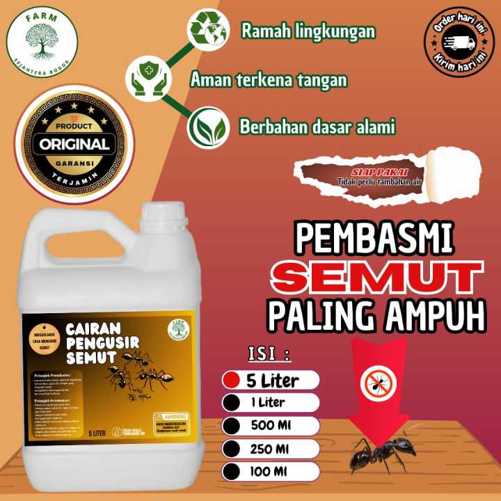 Cairan Pembasmi Semut No 1 Ampuh. ukuran 5LITER | Lazada Indonesia