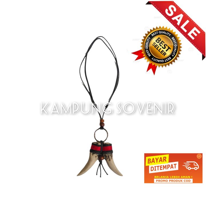 kalung taring harimau sepasang 5 cm | Lazada Indonesia