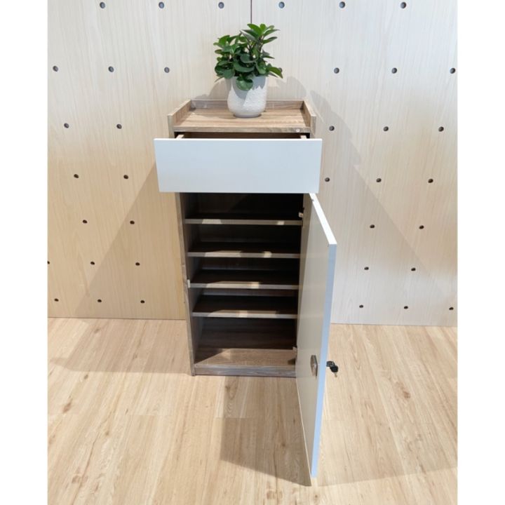 VHIVE Eden 43/60/80cm Shoe Cabinet - Narrow Slim Condo Shoe Rack ...