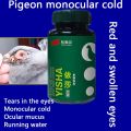 Pigeon single eye cold eyes tearing mucus running eyes red and swollen ...