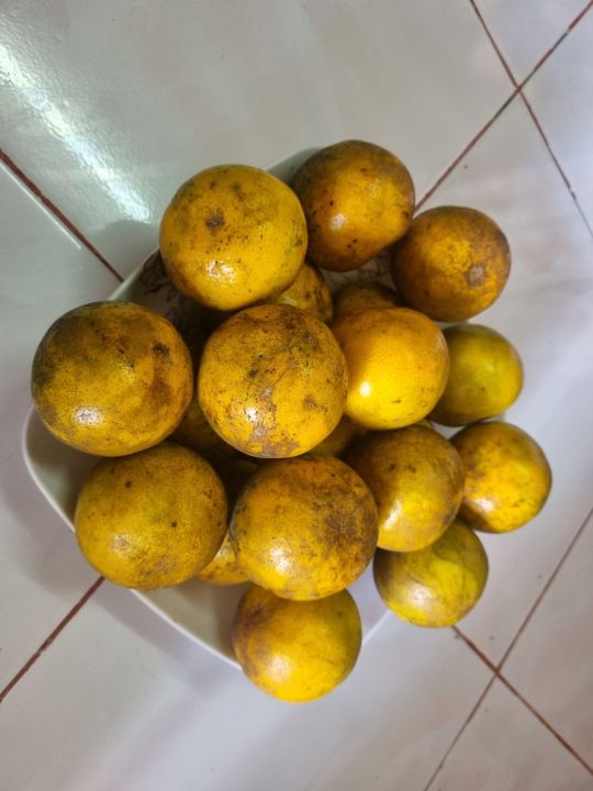 1kg Buah Limau Madu / 1kg Buah Limau Lakap | Lazada