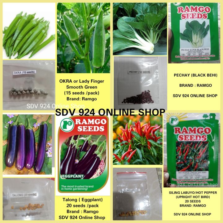 VEGETABLES SEEDS (OKRA, TALONG, KANGKONG, PECHAY, TOMATO, SITAW, ONION ...