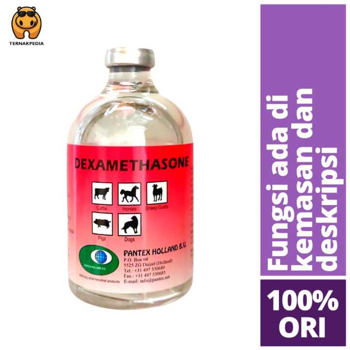 Dexa 100 ml - Anti Inflamasi - Pantex Holland - Dexametason 100 ml ...