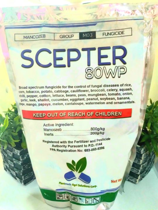 Scepter 80WP (1000g) | Lazada PH