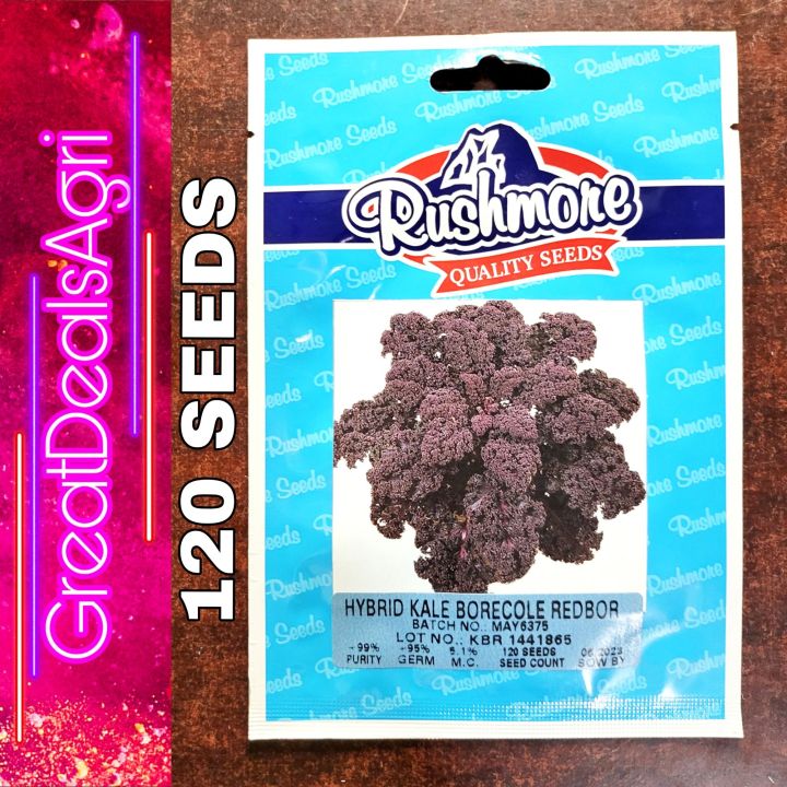 REDBOR F1 HYBRID KALE BORECOLE SEEDS (120 SEEDS) RUSHMORE SEEDS | Lazada PH