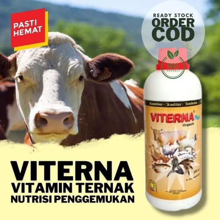 VITERNA NASA VITAMIN TERNAK SAPI KAMBING DOMBA OBAT PENGGEMUK TERNAK ... VITERNA NASA VITAMIN TERNAK SAPI KAMBING DOMBA OBAT PENGGEMUK TERNAK ...
