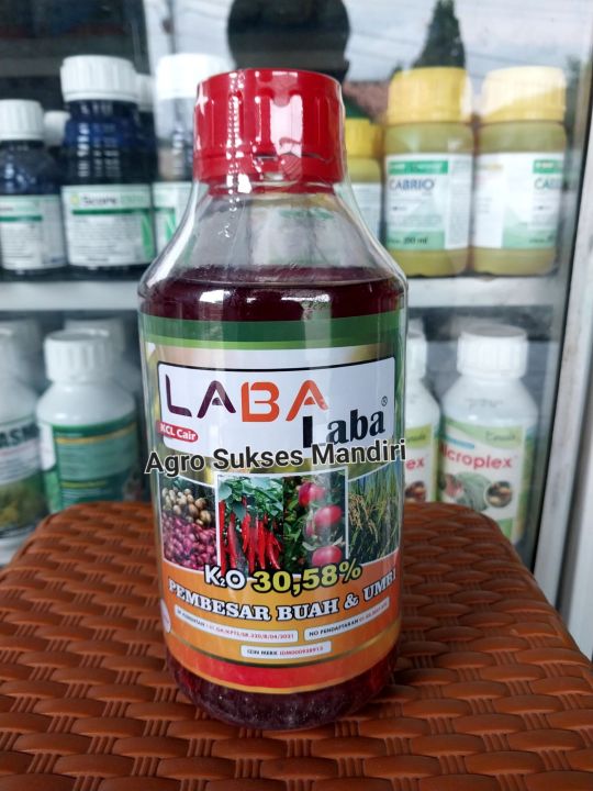 Laba Laba/KCL Cair Laba Laba 1 liter/Bio Kcl Laba Laba 1 liter/Pupuk ...