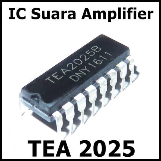 Ic Suara Tea2025b Tea 2025 B Tea2025 original | Lazada Indonesia