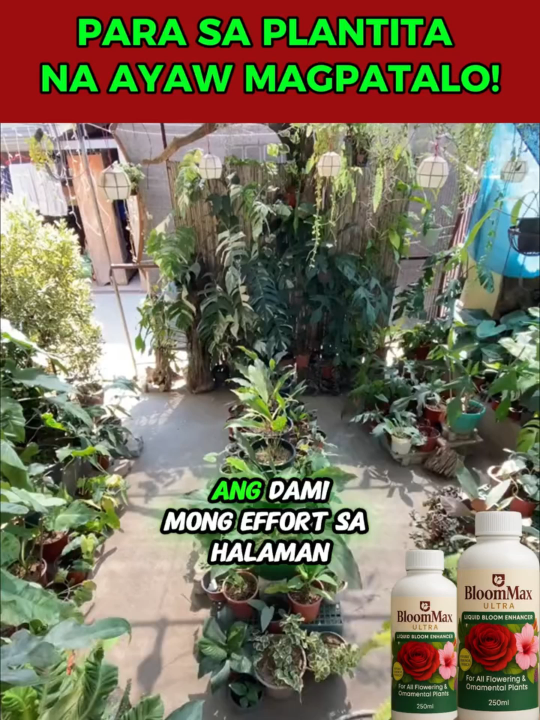 [BUY 1 GET 2] Bloom Max Ultra 250ML – Premium Organic Fertilizer for ...