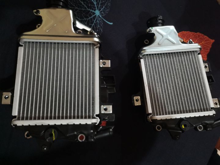 Honda Click Honda Genuine Radiator Assy | Lazada PH