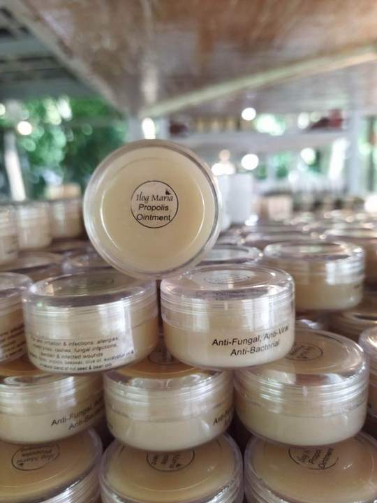 ILOG MARIA 20g propolis ointment | Lazada PH