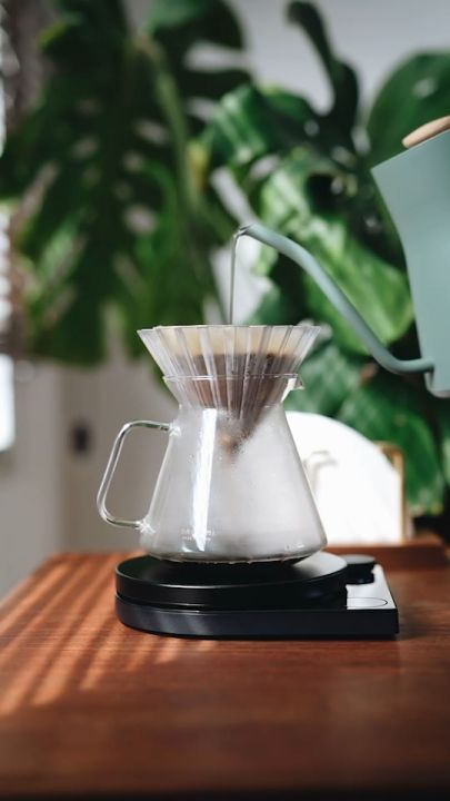 ORIGAMI Glass Server Dripper Set เซ็ทดริปกาแฟ | Lazada.co.th