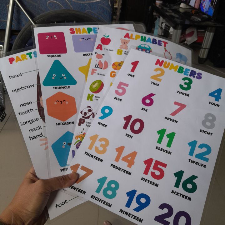 Laminated Educational Flashcard A4 size | Lazada PH