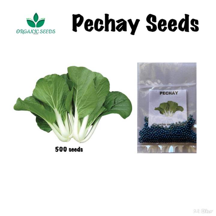 Pechay Seeds/Pavito(500pcs) | Lazada PH