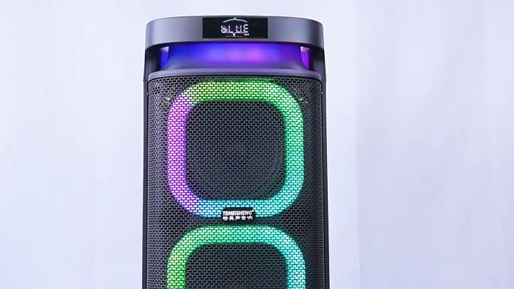 BTS-1990 Brodu Double 8 inches DJ singing speaker color LED charging ...