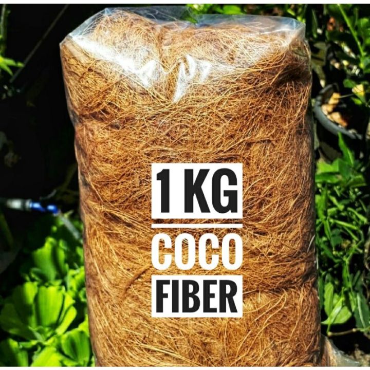 Sabut kelapa //COCO FIBER COIR Sabut serabut serat kelapa kasar media ...