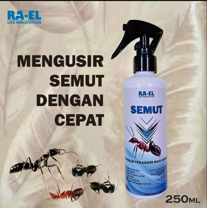 Pengusir semut serangga kecoa kutu hama paling ampuh cairan pembasmi ...