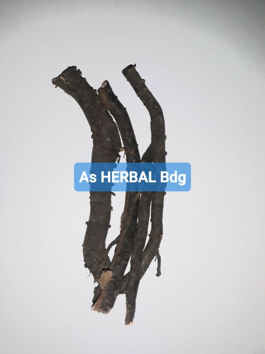 Akar pohon belimbing manis 100 gram alami-az | Lazada Indonesia