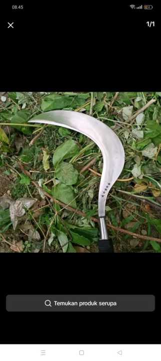 Arit rumput madura | Lazada Indonesia