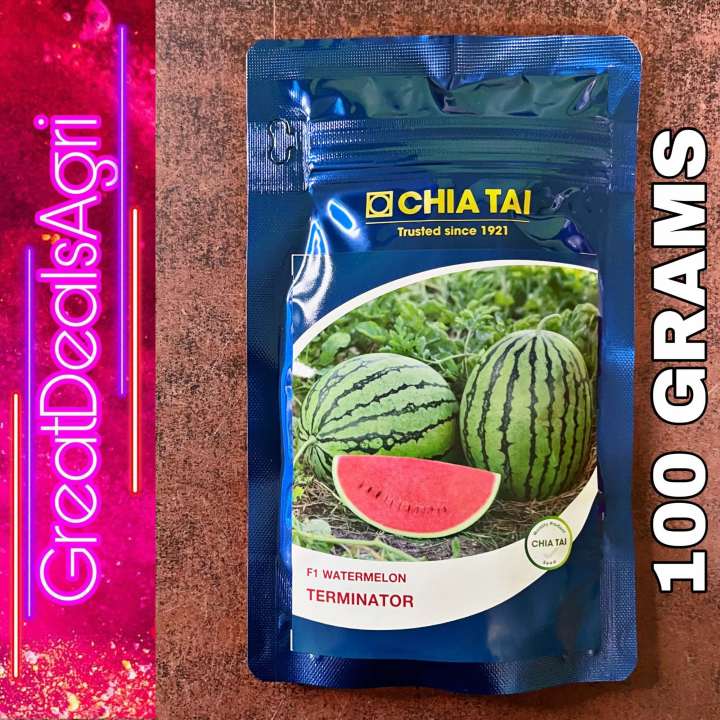 TERMINATOR F1 HYBRID WATERMELON SEEDS (100 GRAMS) BY CHIA TAI SEEDS ...