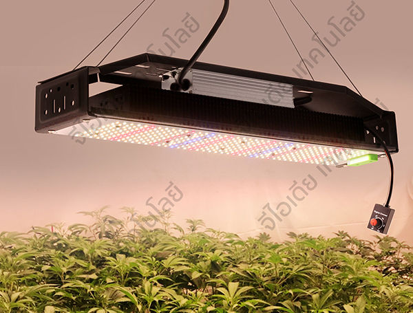 Samsung LM281B 2400W ไฟปลูกต้นไม้ หรีแสงได้ LED Grow Light ชิปQuantum ...