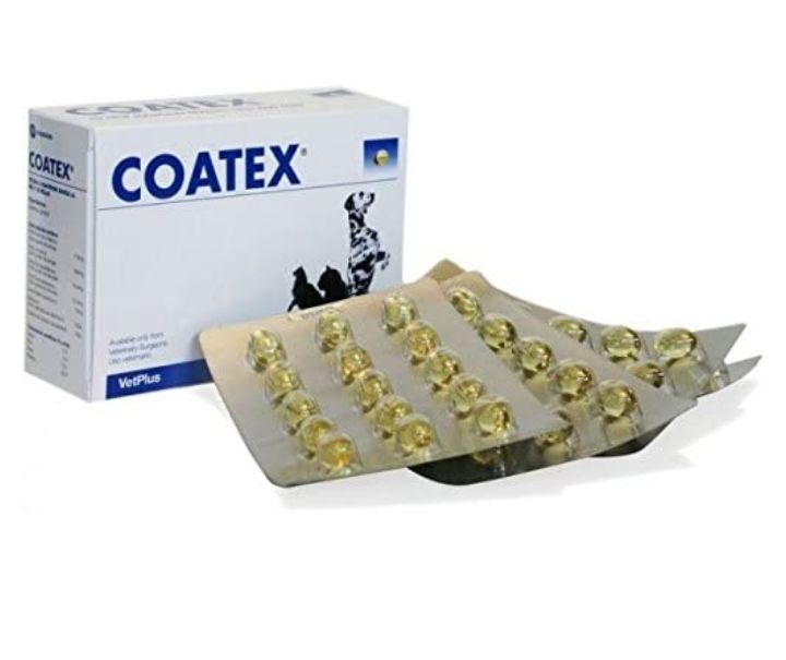 coatex 1 กล่อง 60capsule อาหารเสริมบำรุงขนสุนัข อาหารเสริมบำรุขนแมว ...