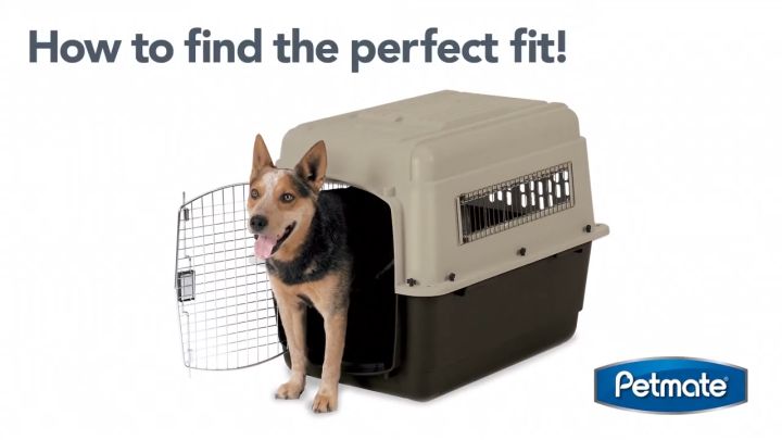 Petmate 19" VARI KENNEL UP TO 10 lbs กรงเดินทางพลาสติก สำหรับขึ้น ...