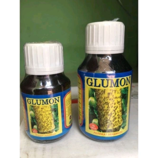 Lem perekat serangga GLUMON rekomendasi untuk mengendalikan lalat buah ...