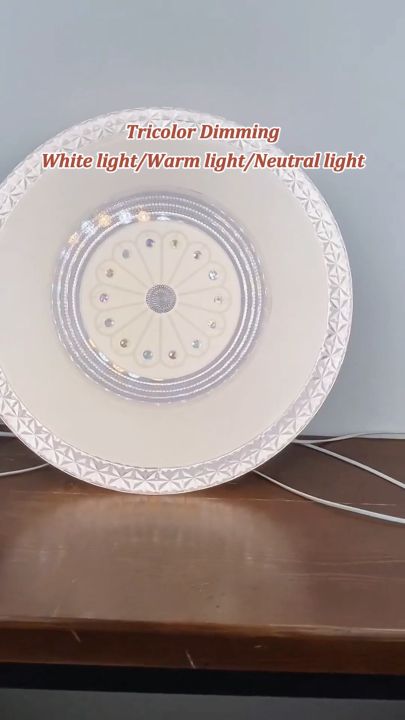 Minimalistic LED Ceiling Light Modern Style Tricolor Dimming Ceiling ...