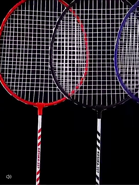 Badminton Set 2pcs Professional Training Durable Racquet Amateur ...