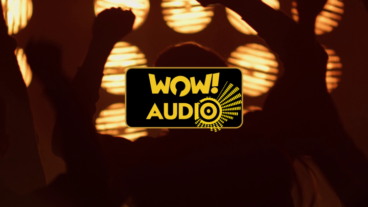 WOW! Audio JIVE Portable Party Speaker - Bluetooth 5.0, Dynamic Light ...