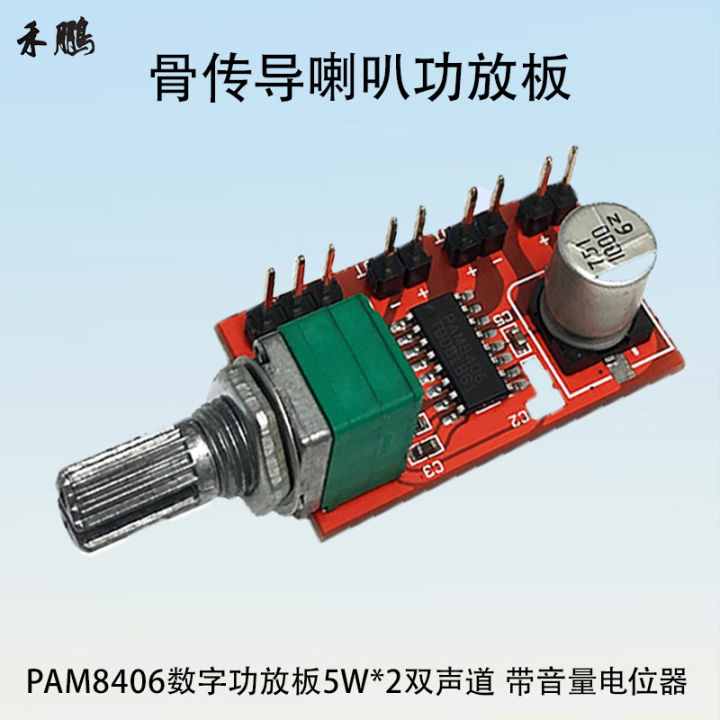 Double Channel 5W*2 Bone Conduction Speaker Amplifier Board PAM8406 ...