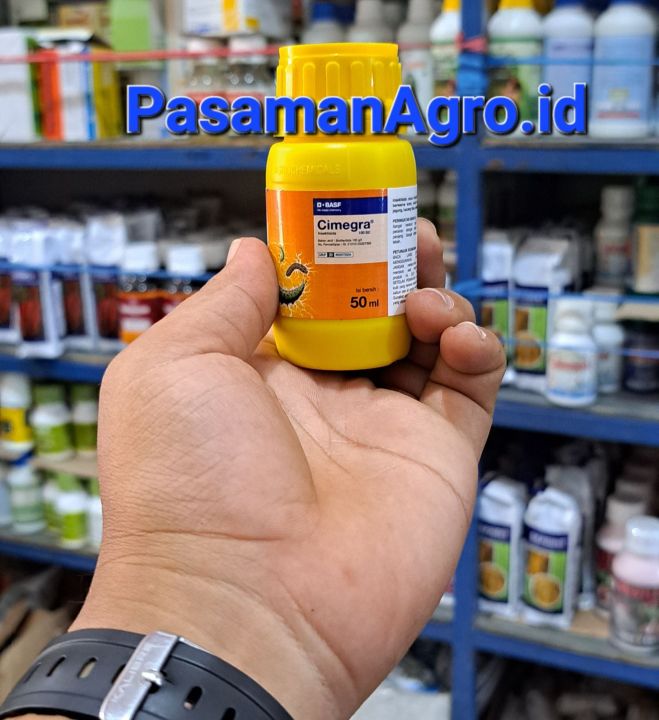 INSEKTISIDA CIMEGRA 100 SC - 50 ML | Lazada Indonesia