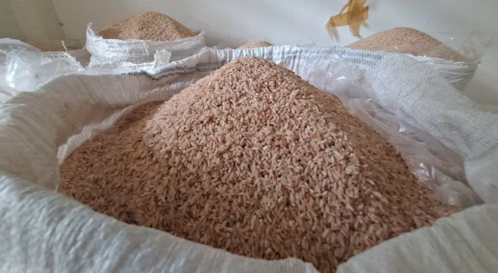 5kgs.Best BUY New Harvest Organic Red Rice from Masbate Malambot ...