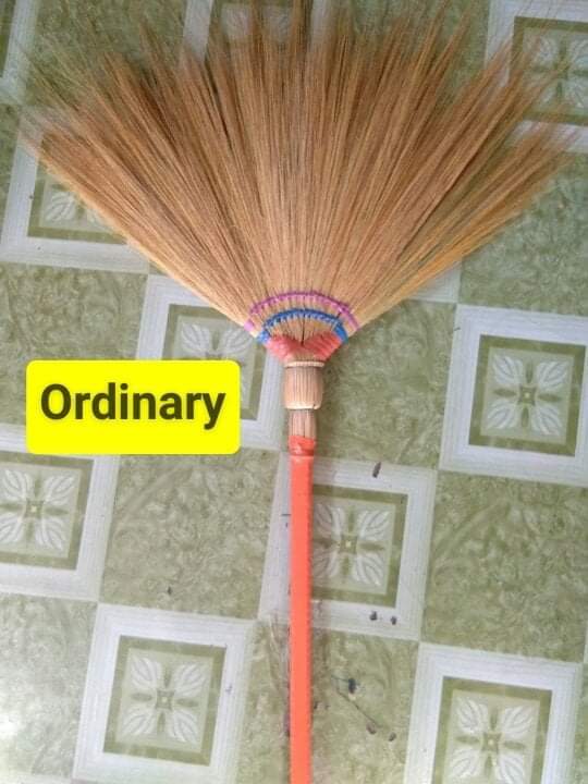 Walis Tambo Ordinary | Lazada PH