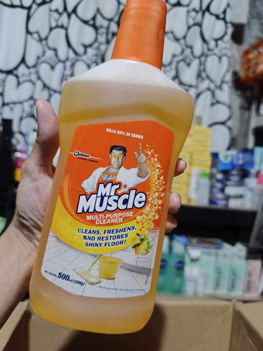 MR. MUSCLE ALL PURPOSE CLEANER | Lazada PH
